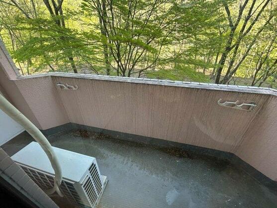 【アットホーム】クラウンズヴィラ水上 2階 205 1LDK[1125873705]利根郡みなかみ町のマンション｜マンション購入の情報