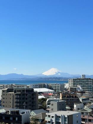 【アットホーム】クリオ湘南江ノ島グランマーレ 8 1LDK[6985545655]藤沢市のマンション｜マンション購入の情報