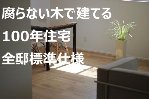 【アットホーム】岸和田市 吉井町3丁目（忠岡駅） 2階建 4LDK[6982310792]岸和田市の一戸建て（提供元：(株)大陸）｜一軒家・家の購入