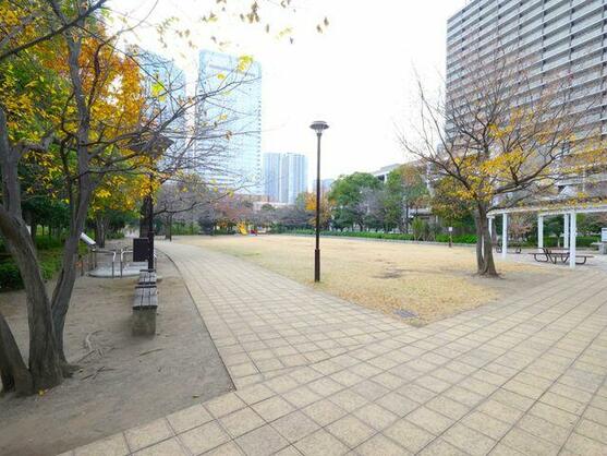 【アットホーム】晴海アイランドトリトンスクエアビュータワー 41階 3LDK[1130478317]中央区のマンション｜マンション購入の情報