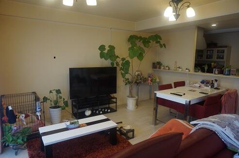 【アットホーム】アルファスマート星越 606 3LDK[6985959934]新居浜市のマンション｜マンション購入の情報