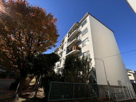 【アットホーム】船橋ハイツ6号棟 301 3LDK[1126274405]船橋市のマンション｜マンション購入の情報